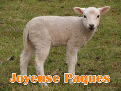 Image Agneau pascal - Belle collection de images Agneau pascal